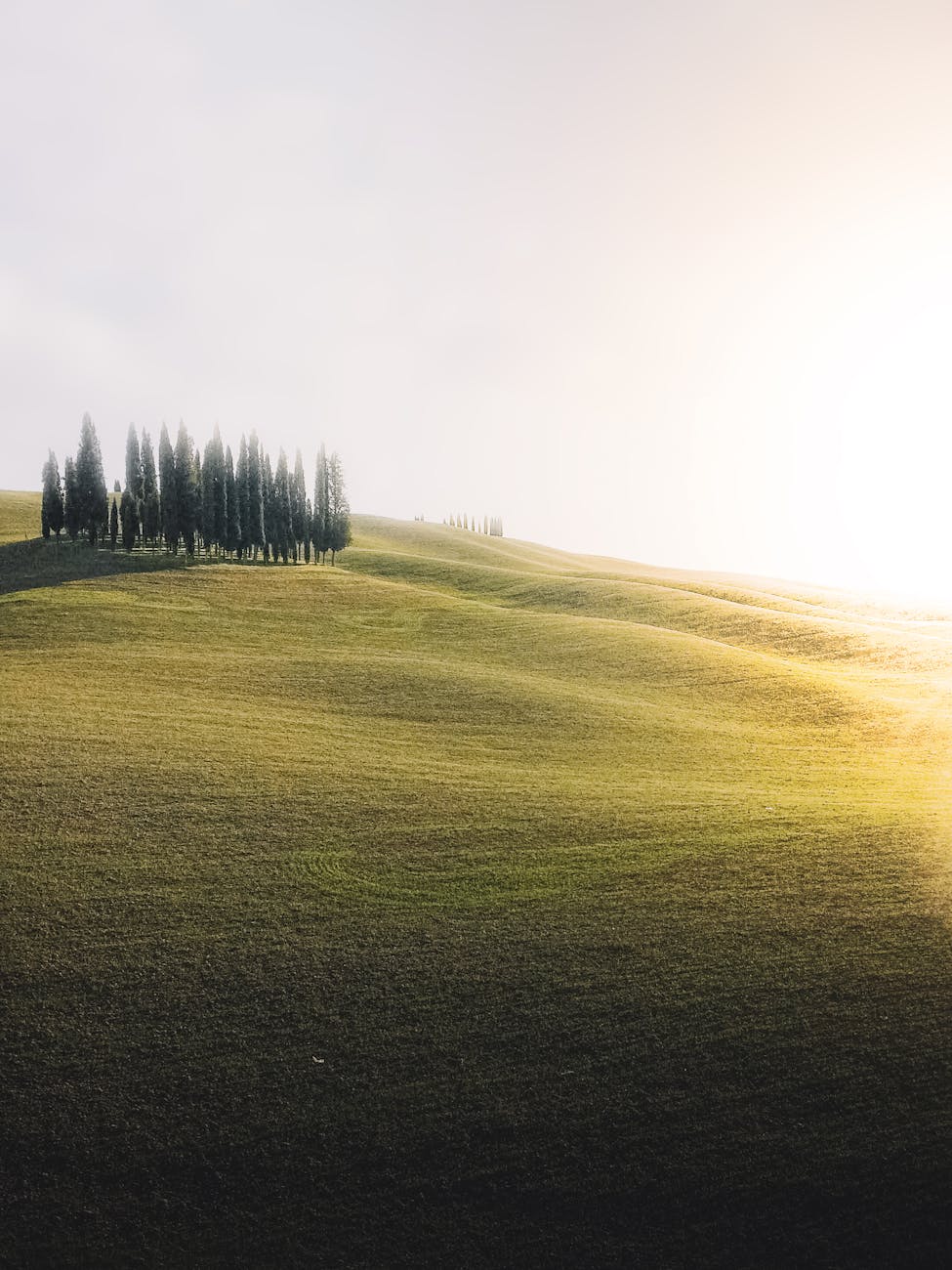 Italy – Kitty-Kat Chronicles